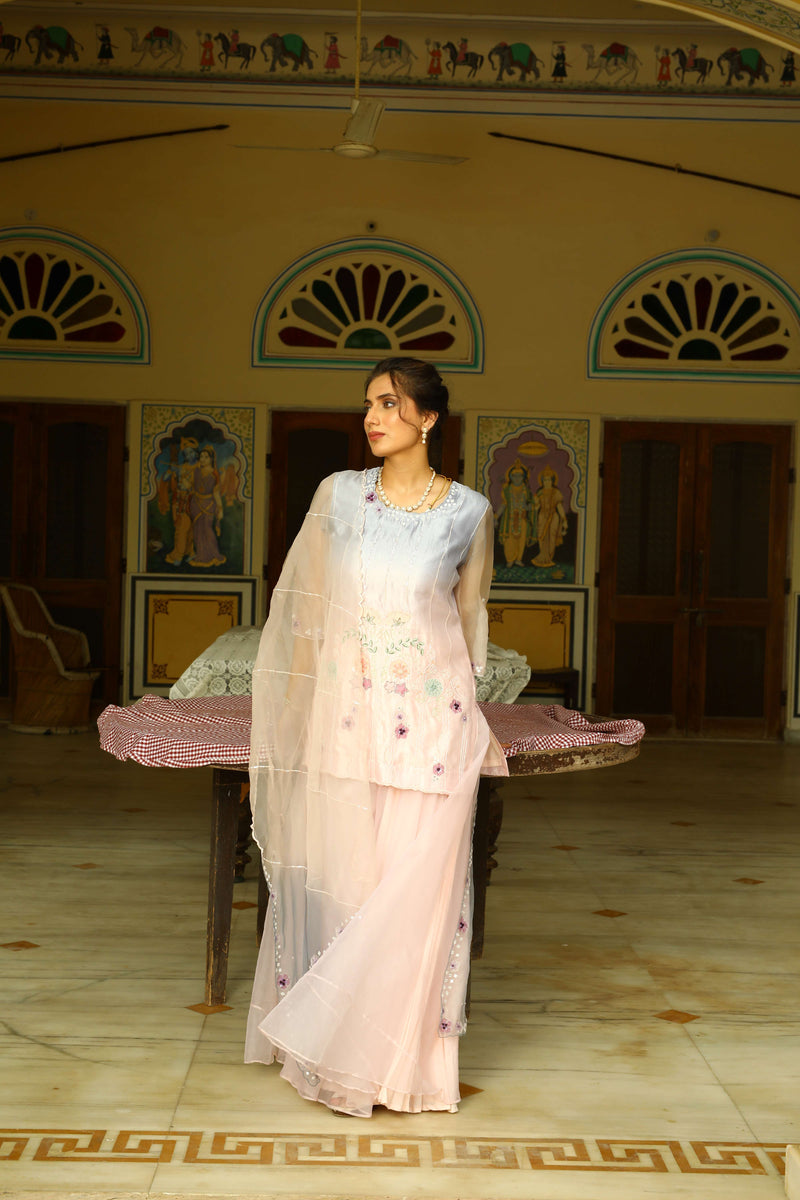 pastel handpainted co-ord set – Meenal Modi